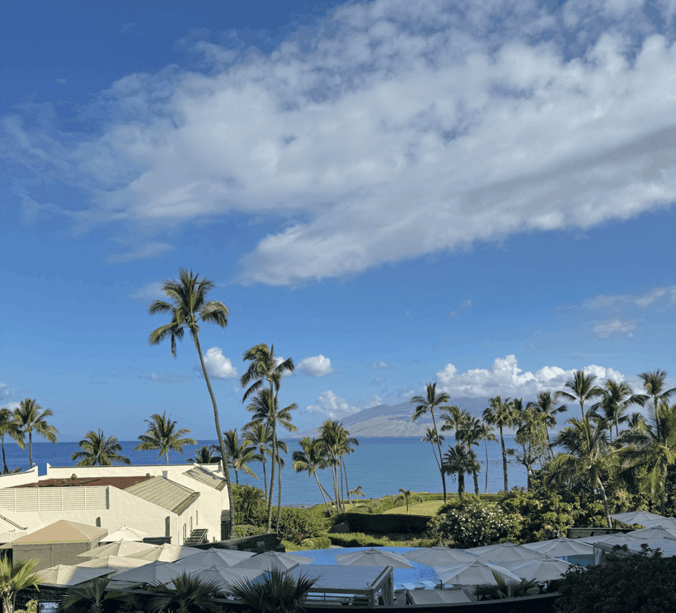 Best Time To Visit Maui: Month-by-Month | Maui Snorkeling